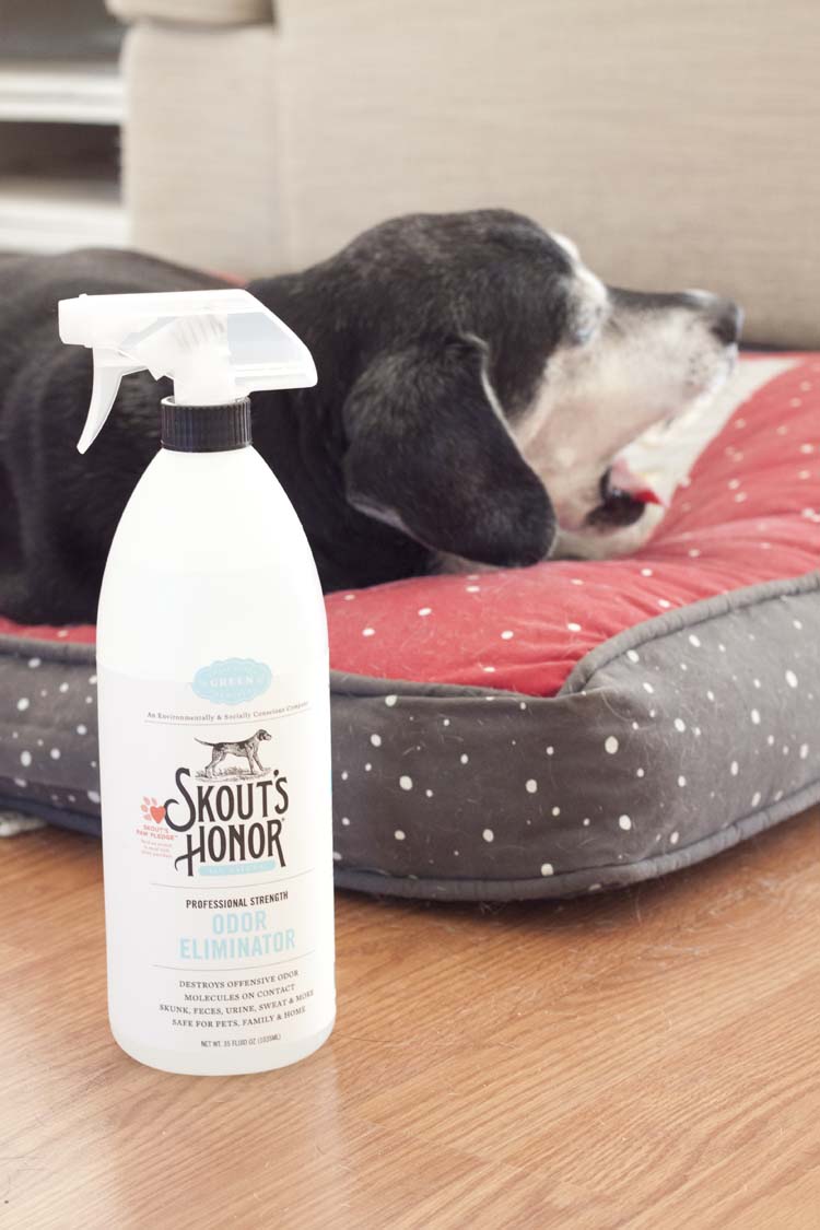 Skout's Honor All-Natural Product Review - Southern Revivals